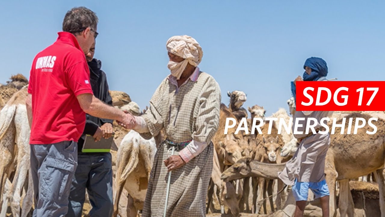 Partnerships | Mine Action Promotes SDGs - YouTube