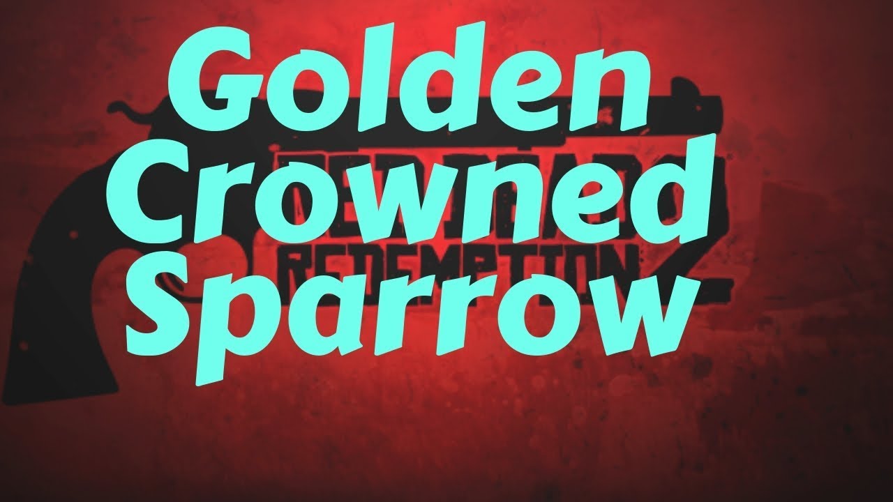Red Dead Redemption 2 Golden Crowned Sparrow - YouTube