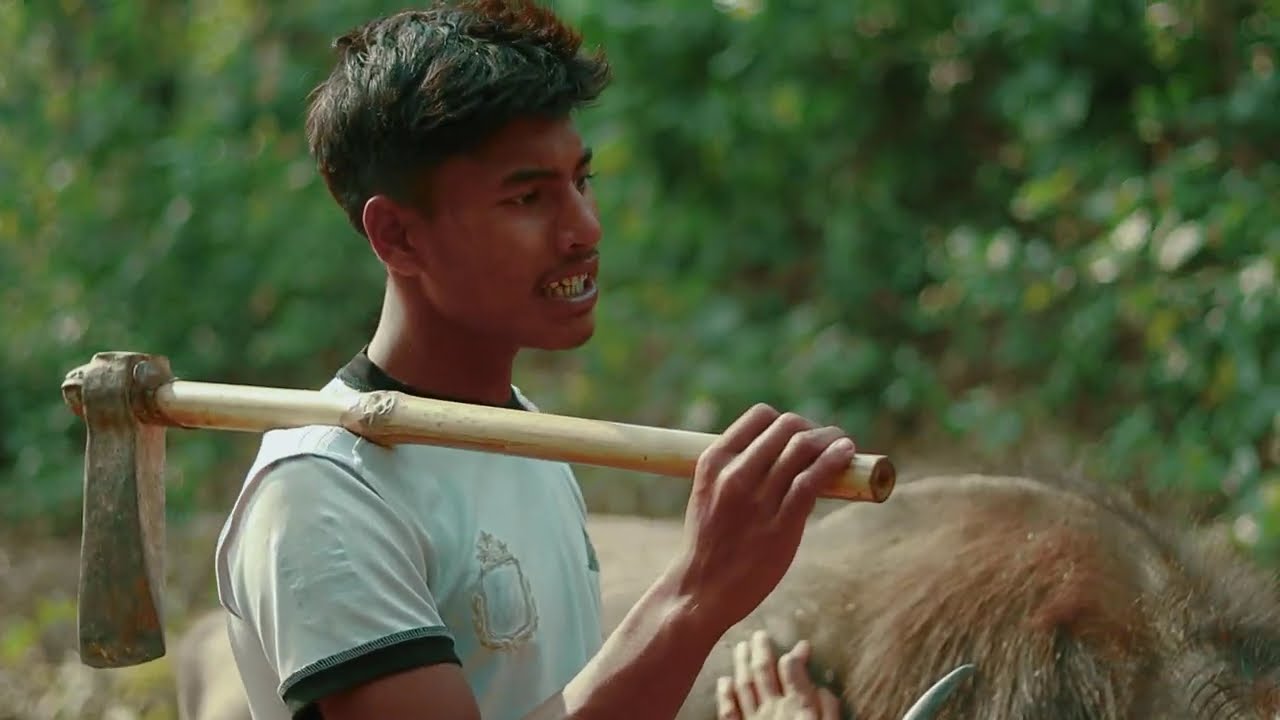 Lion attack buffalo in African forest | lion attack animal | lion ...