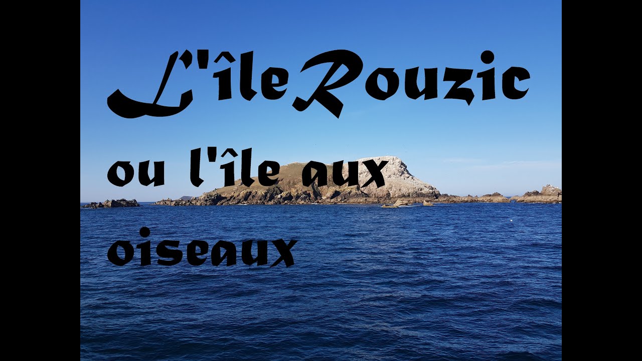 L'île Rouzic, l'île aux oiseaux dans l'Archipel des 7 îles dans les ...