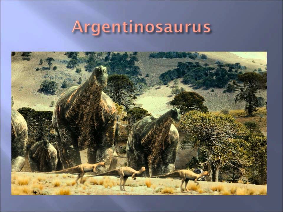 All Species Of Sauropods - YouTube
