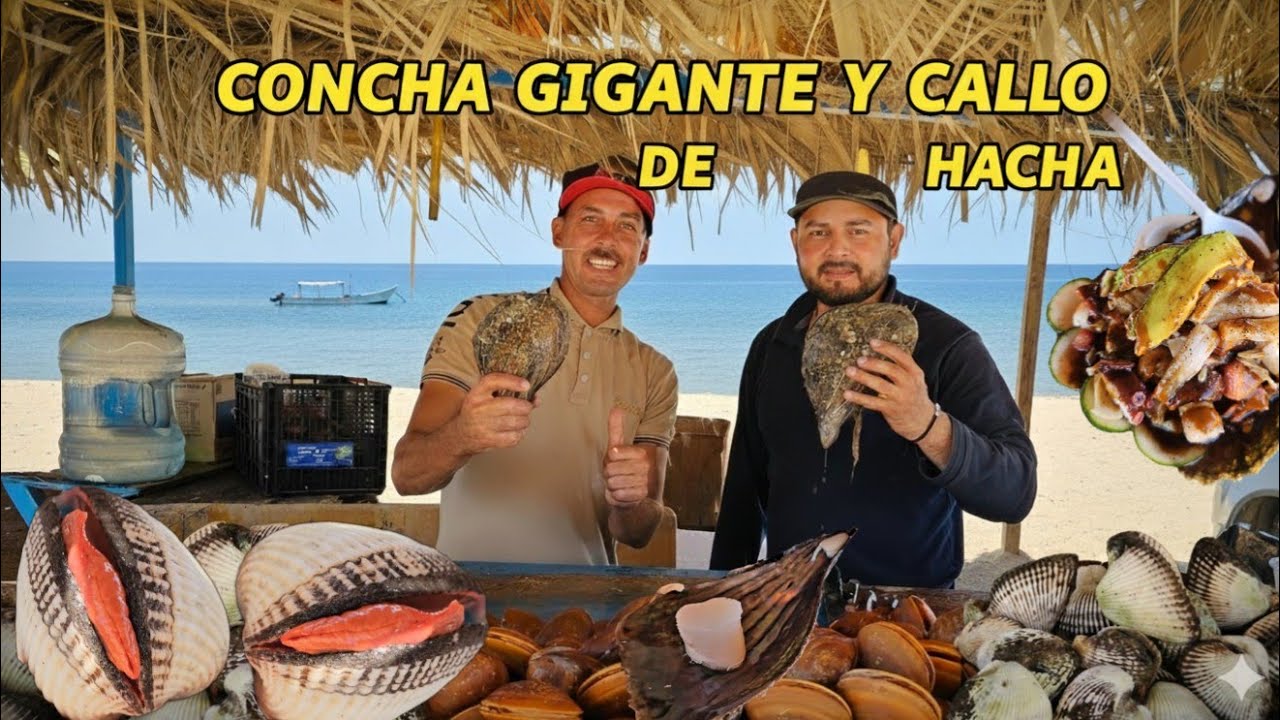 Esto parece el PARAÍSO TERRENAL de los MARISCOS: Callo de Riñon y ...