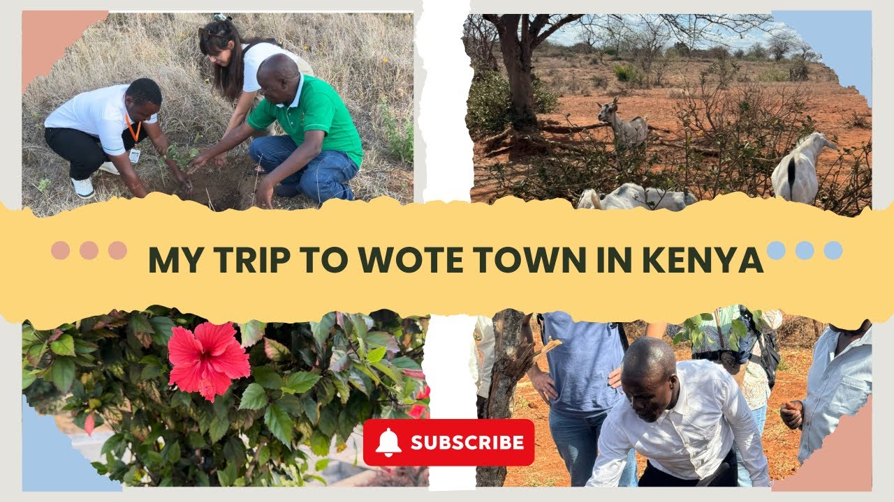 My Journey to Kenya: Discovering Indigenous Wisdom and Traditional Life ...