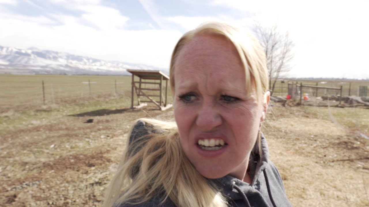 This Is The WORST Time To Have A Turkey Missing!!! - YouTube
