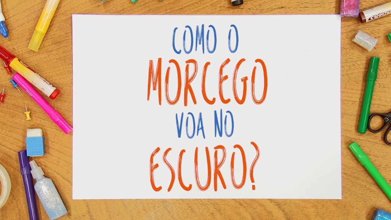 Ciência Explica - "Como o morcego voa no escuro?" - YouTube