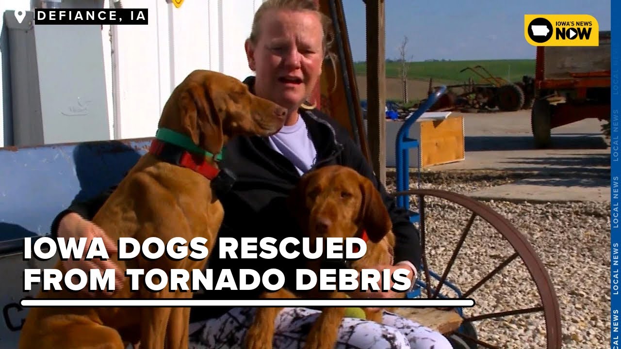 Two dogs rescued from tornado debris in Defiance, Iowa - YouTube