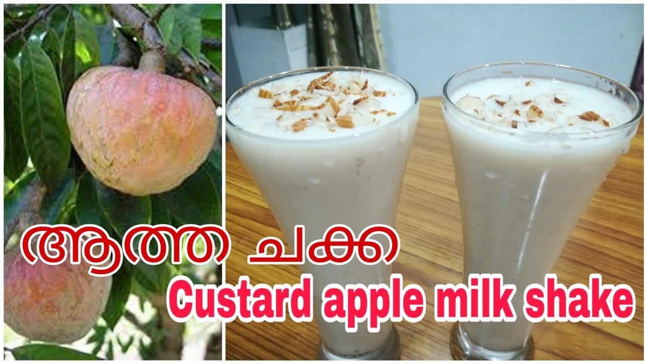 ആത്ത ചക്ക/ Custard apple Milk shake/aathachakka milk shake - YouTube