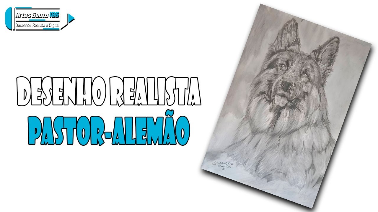DESENHO REALISTA PASTOR-ALEMÃO SPEED DRAWING HOW TO DRAW! - YouTube