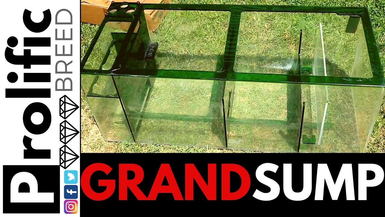 AQUARIUM SUMP | TRIGGER SYSTEMS EMERALD 39 | REEF TANK - YouTube
