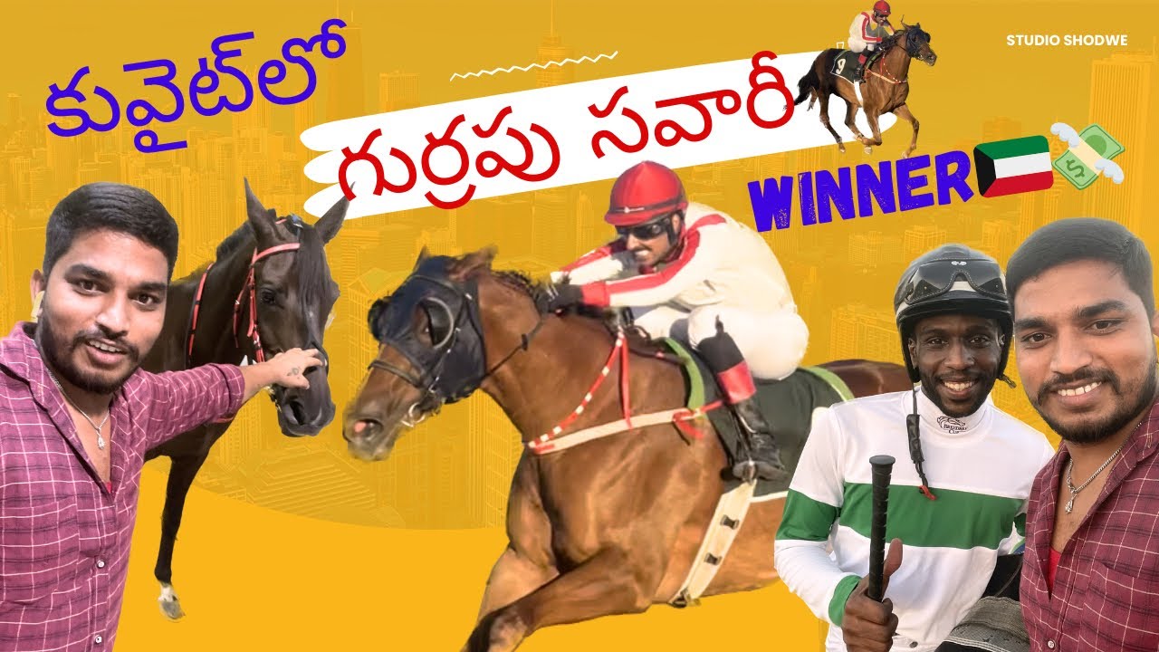 Horse Racing | Full Arabian Horse Racing🇰🇼In Kuwait || కువైట్లో గుర్రం ...