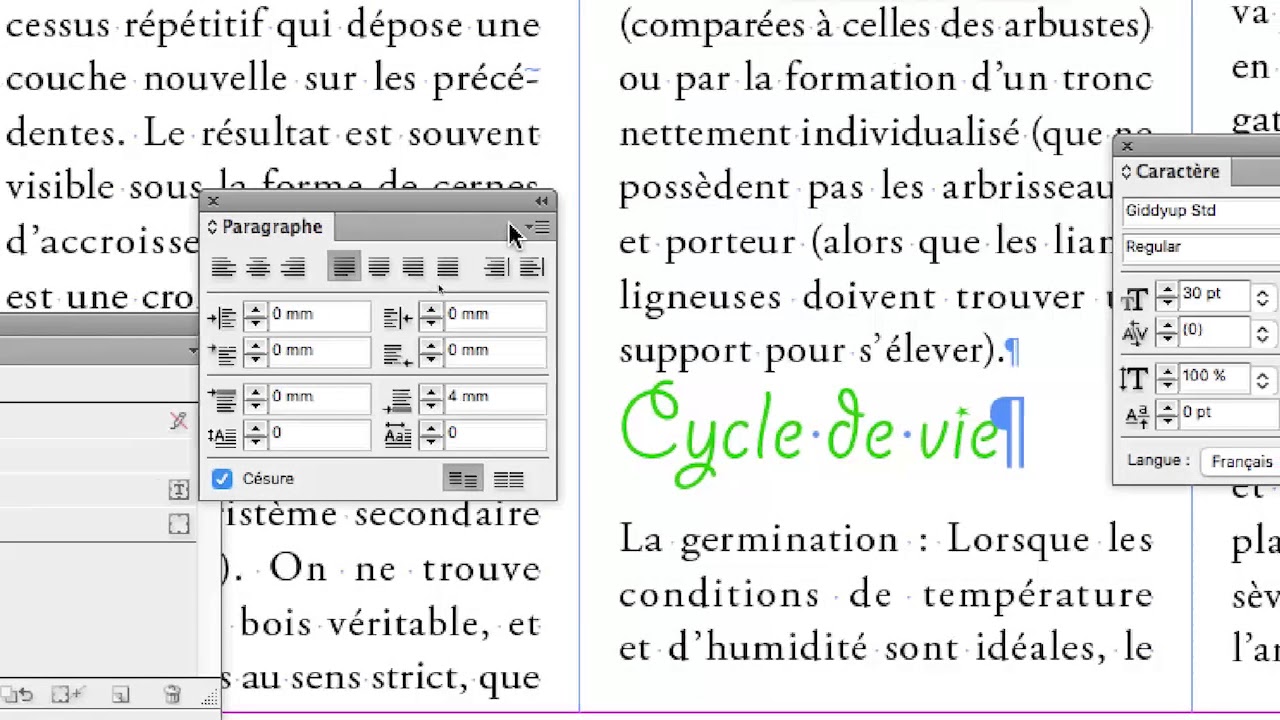 InDesign CS6 complet séquence 026 l'utilisation pro d'Adobe InDesign ...