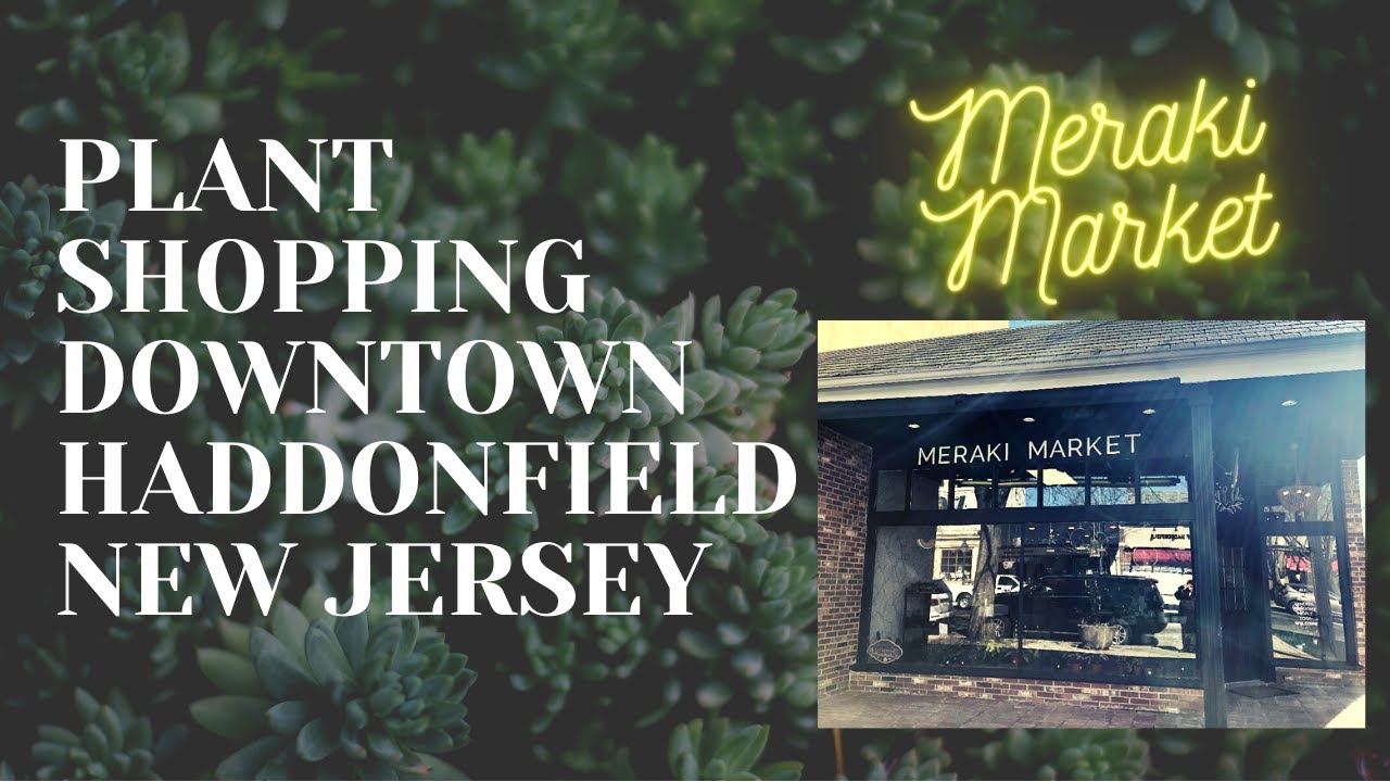 Plant shopping downtown Haddonfield NJ - Meraki Market - YouTube