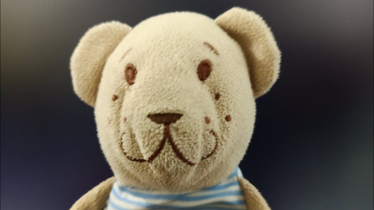 part 5 the special bear - YouTube