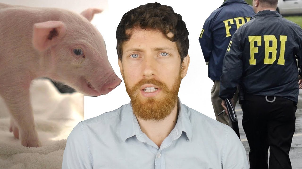 FBI Hunts Rescued Pigs | The Bacon Industrial Complex - YouTube