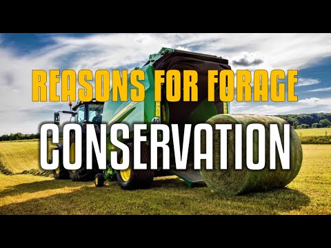 REASONS FOR FORAGE CONSERVATION - YouTube