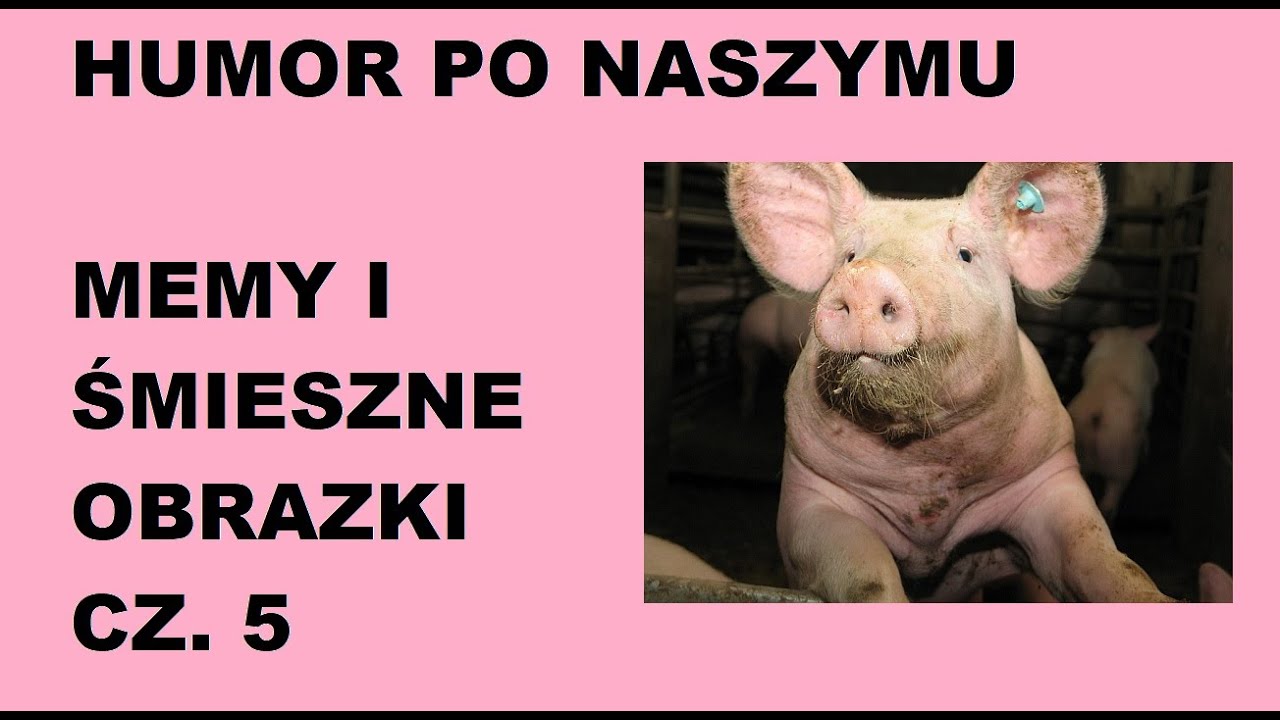 Humor po naszymu czyli śmieszne memy i obrazki w gwarze cieszyńskiej cz ...