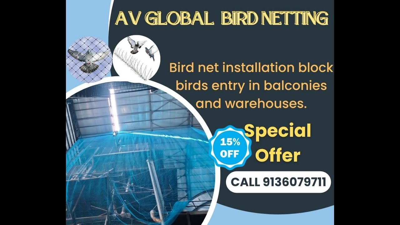 Disturbed by bird in warehouses and industries, we provide bird control ...