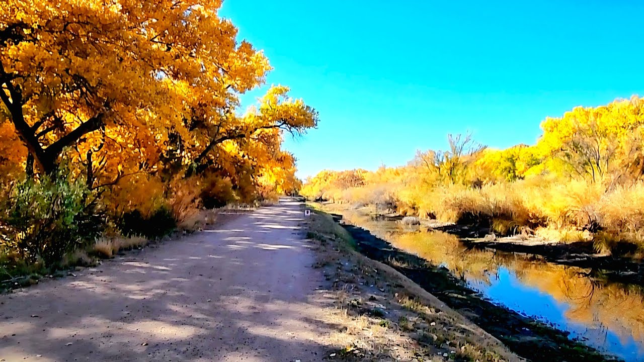 Hiking the Colorful Cottonwoods with Scenic River Views Albuquerque New ...
