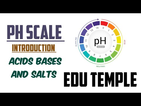 ACIDS BASES AND SALTS || PH SCALE || CLASS 10 ||PART 2 - YouTube