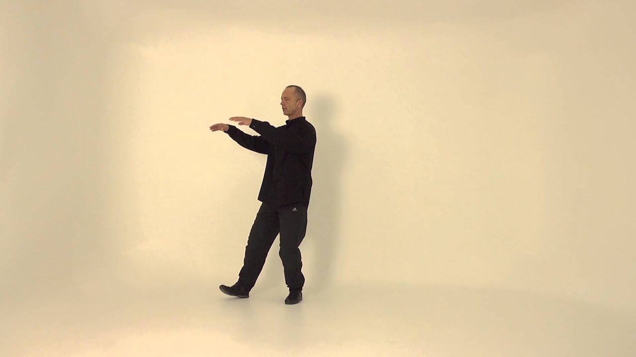 VIDEOLINK 16: Master Sam Tam’s Form/ Master Sam Tams Taijiform, 1. del ...