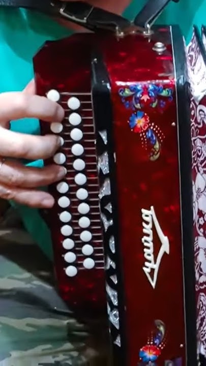 как быстро научиться играть на гармони три аккорда 300 песен #гармонь ...