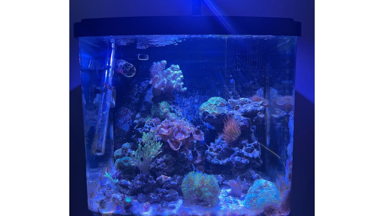 Biocube Update - YouTube