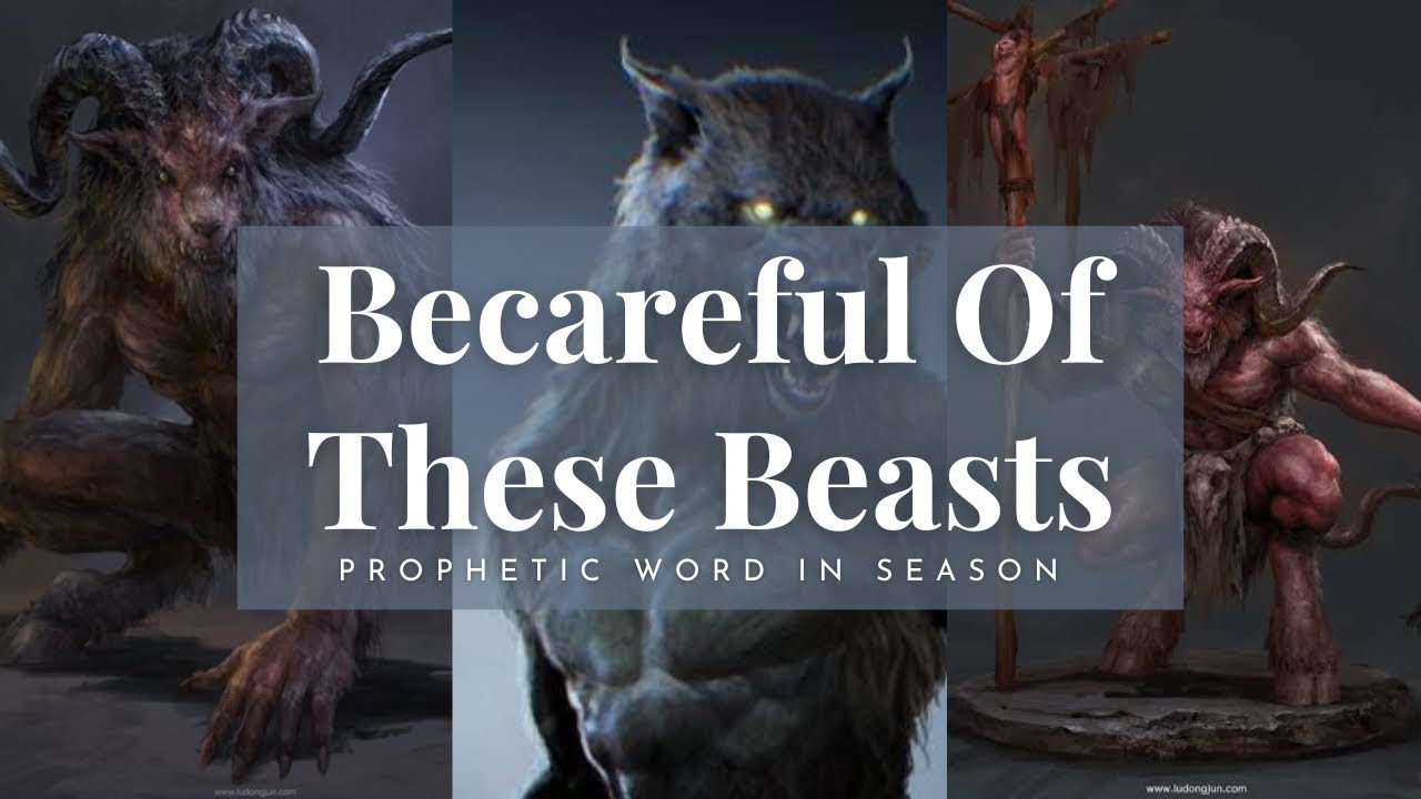 PROPHECY!! There Are Beasts That Will Invade The Earth| Yolisa Magibile ...
