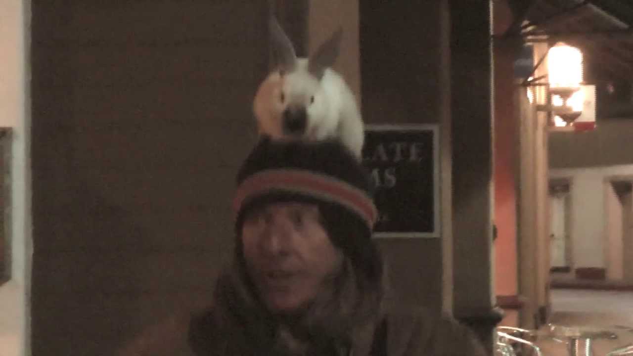 Lonnie Campbell sings with a rabbit on his head - YouTube