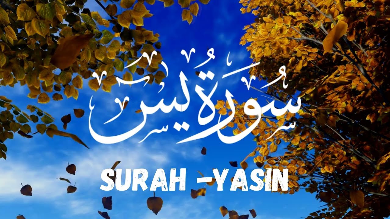 Surah Yasin (Yaseen) | Full With Arabic | yasin | quran tilawat ...