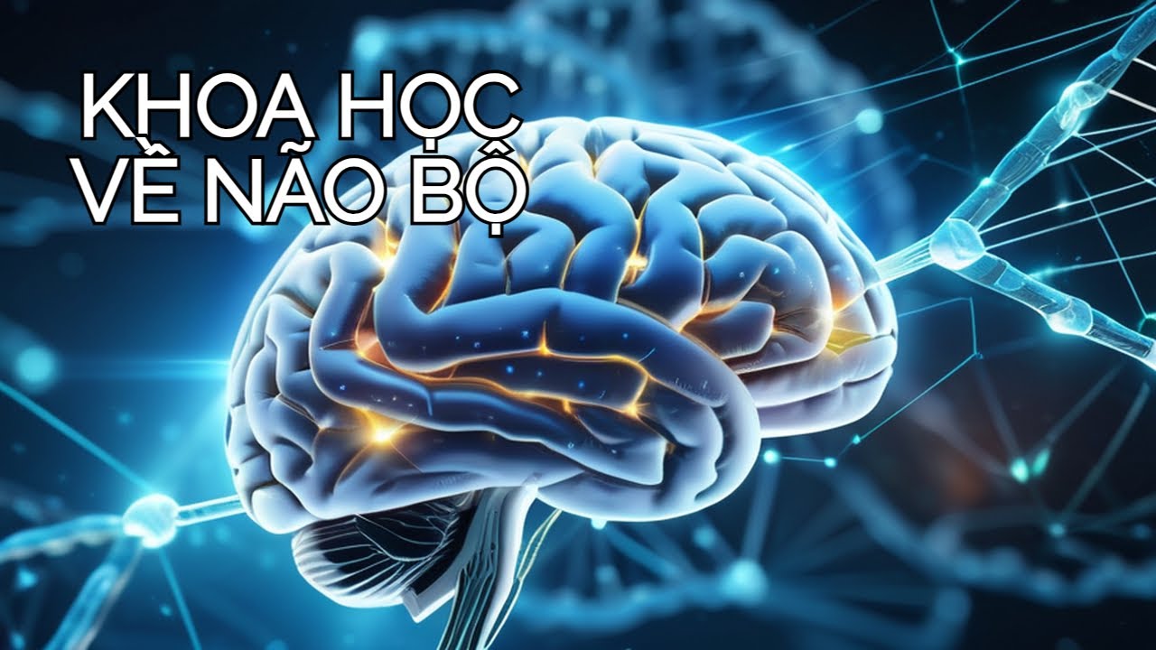 Khoa học về não bộ | Brain System Biology | D Mon Physiology - YouTube