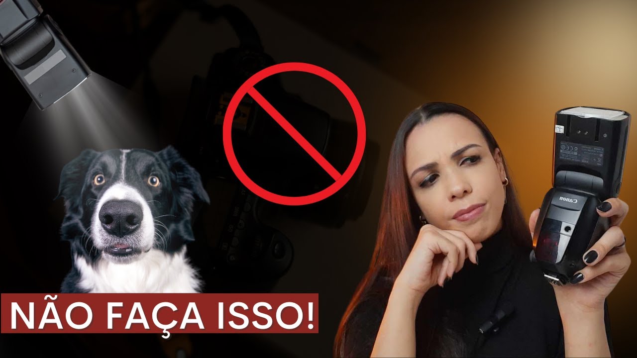 📸Pode usar FLASH para FOTOGRAFAR PETS? Descubra agora! - YouTube