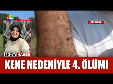 Kene kabusu yeniden başladı!