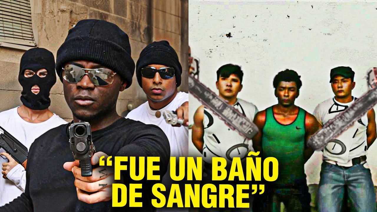 5 Pandillas Que Se Metieron Con Los Cárteles Equivocados - YouTube