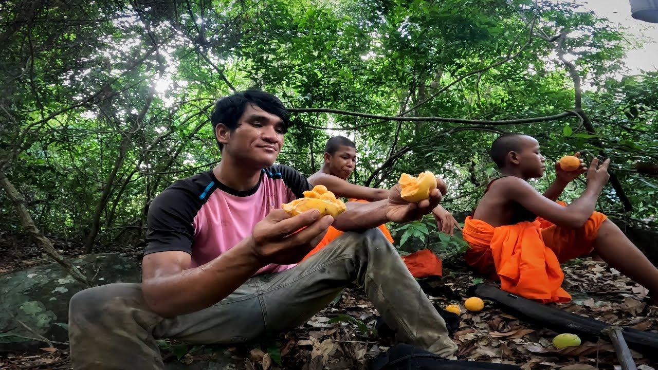 /Not camping/ Finding wild fruit with the monks. Life in forest ...