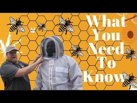 #1 Beekeeping Suit For Protection And Ventilation: Guardian Bee Apparel ...