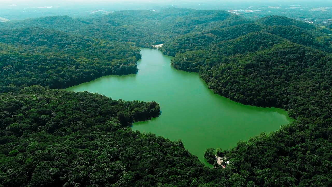 Drone Footages of Nature Forest 4K Stock Videos | Free stock footage ...