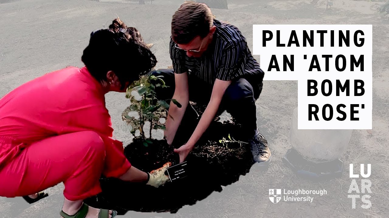 Planting an 'Atom Bomb Rose' at Loughborough University - YouTube