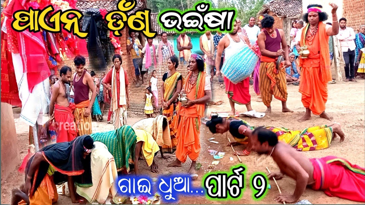 Paen Danda Bhainsa Part 2 ll Sambalpuri Paen Danda ll Western Odisha ...