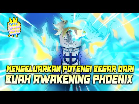Build Buah Awakening Phoenix, Cara Mengeluarkan Potensi Besar Buah ...