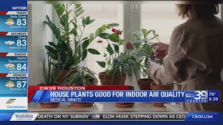 House plants good for your indoor allergies - Medical Minute, Idolina Peralez