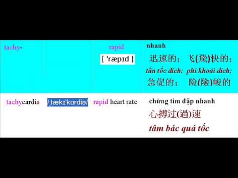 tachy-, tachycardia, rapid breathing, tachypnea, rapid heart rate - YouTube