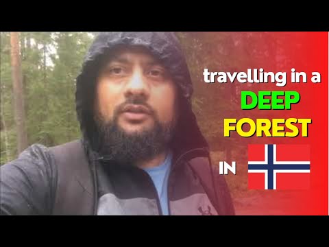 I TRAVEL in a Deep Forest of NORWAY | Amazing VLOG - YouTube