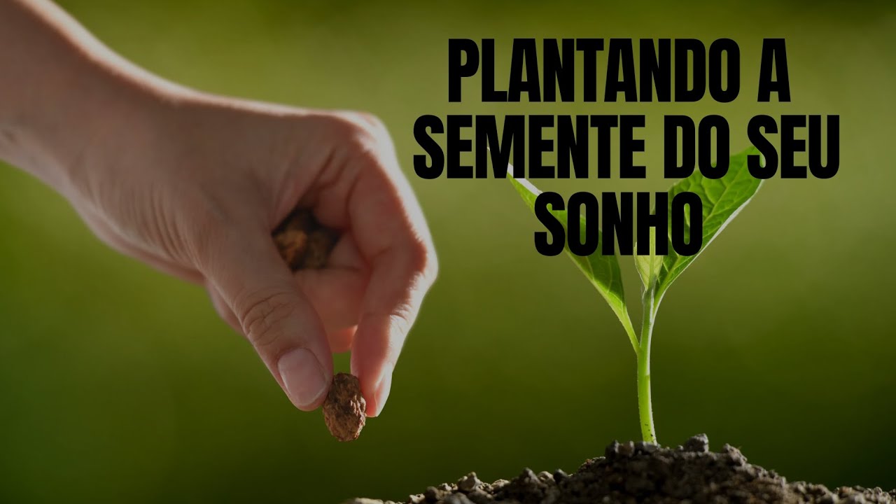 O PLANTIO DA SEMENTE DO SEU OBJETIVOS - YouTube