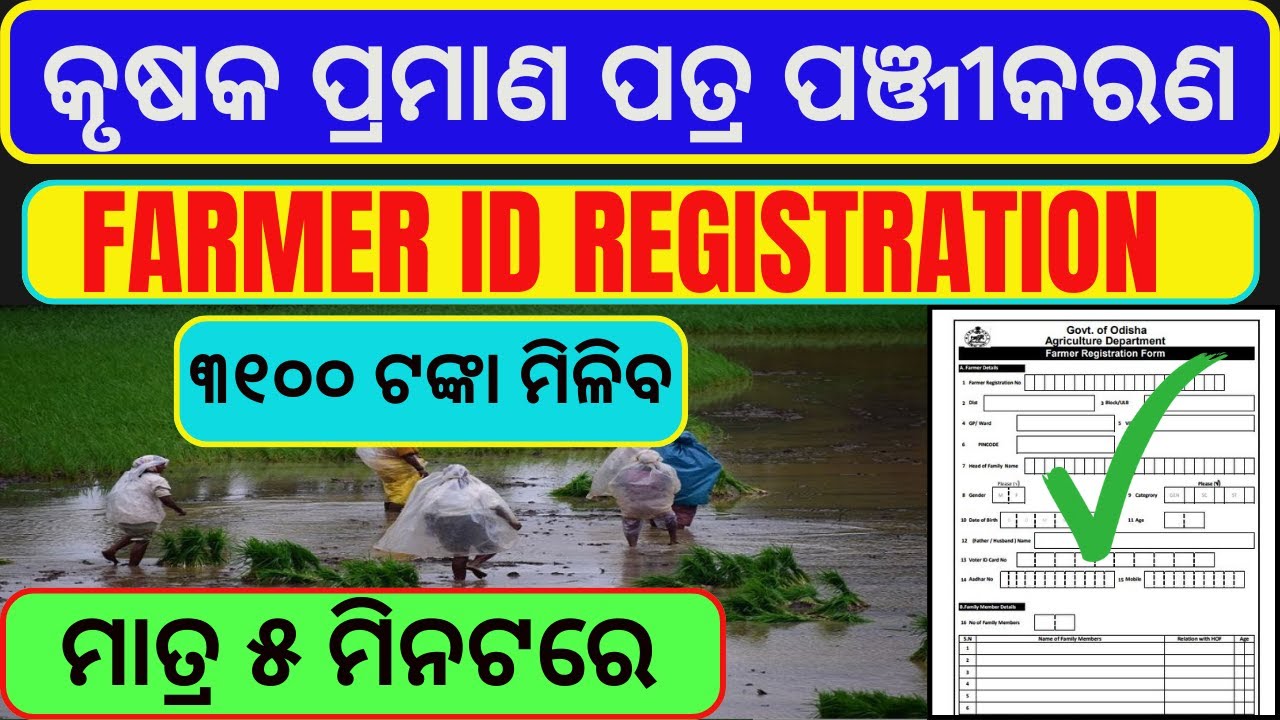 3 EASY STEPS to Register for Farmer ID Online in Odisha I Farmer ...