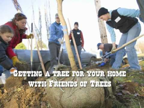 How to Plant with Friends of Trees - YouTube