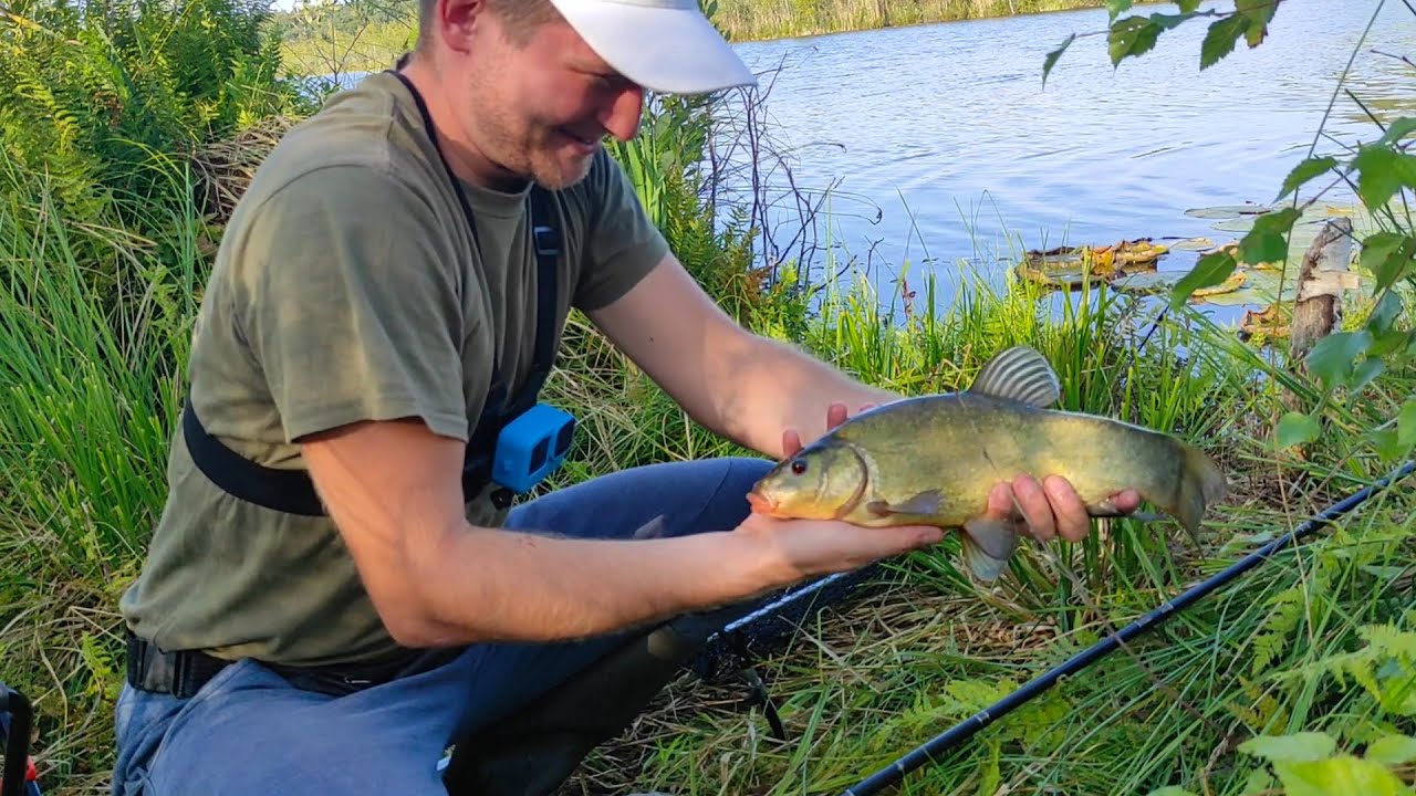 Najlepsze Brania Ryb Sierpień 2024 !!! - YouTube