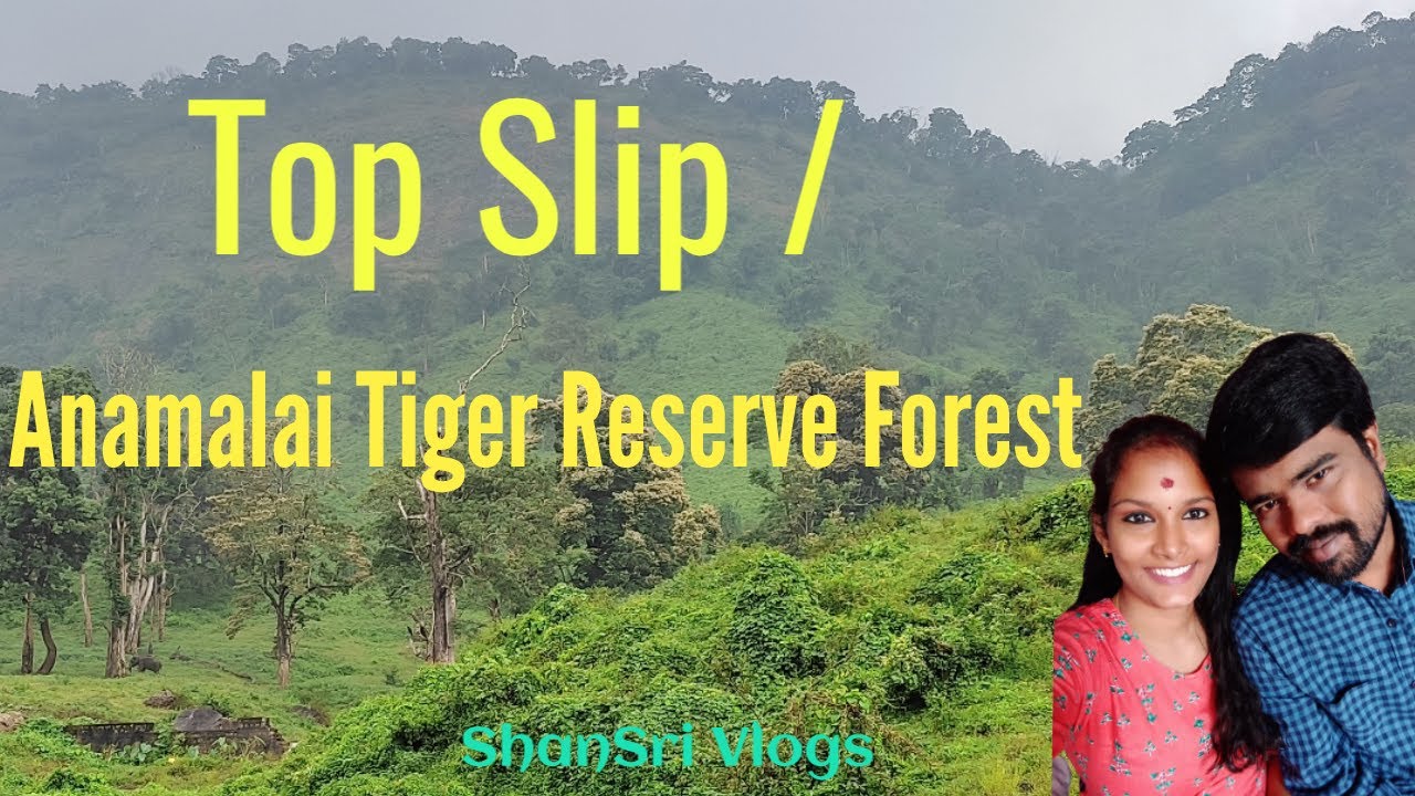 Top Slip | Anamalai Tiger Reserve Forest | Road Trip | Pollachi Tourist ...