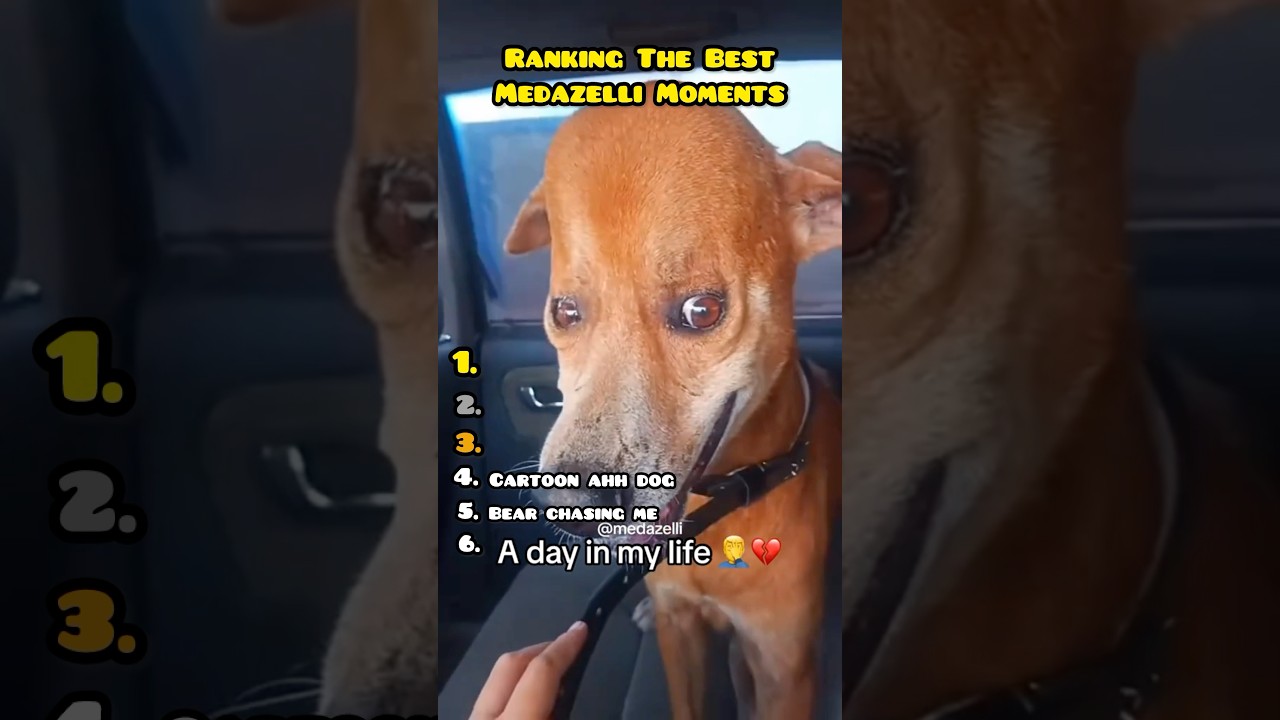 Ranking The Best Medazelli Moments - YouTube