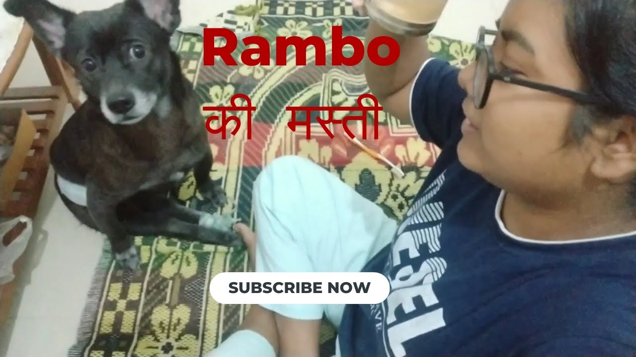 🔷Rambo की मस्ती|Fun time with Rambo|#dailyvlog #Create Happiness With ...