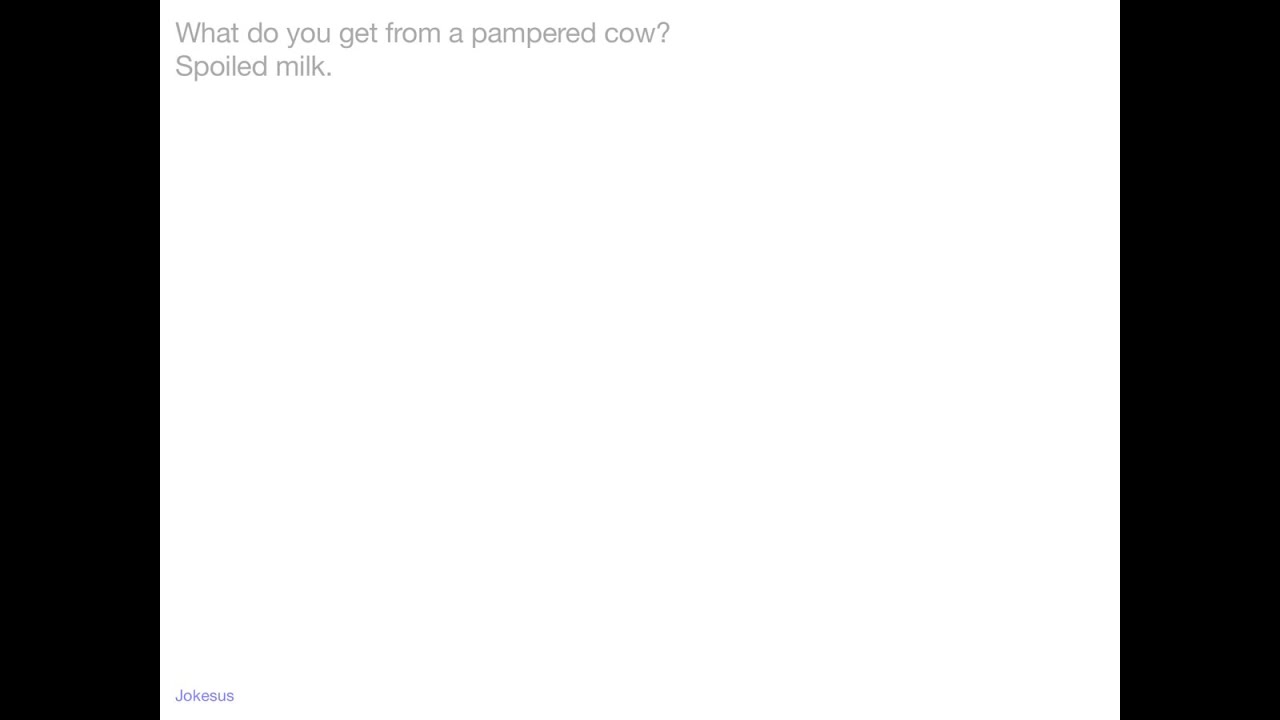 Jokes - What do you get from a pampered cow? Spoiled milk. - YouTube